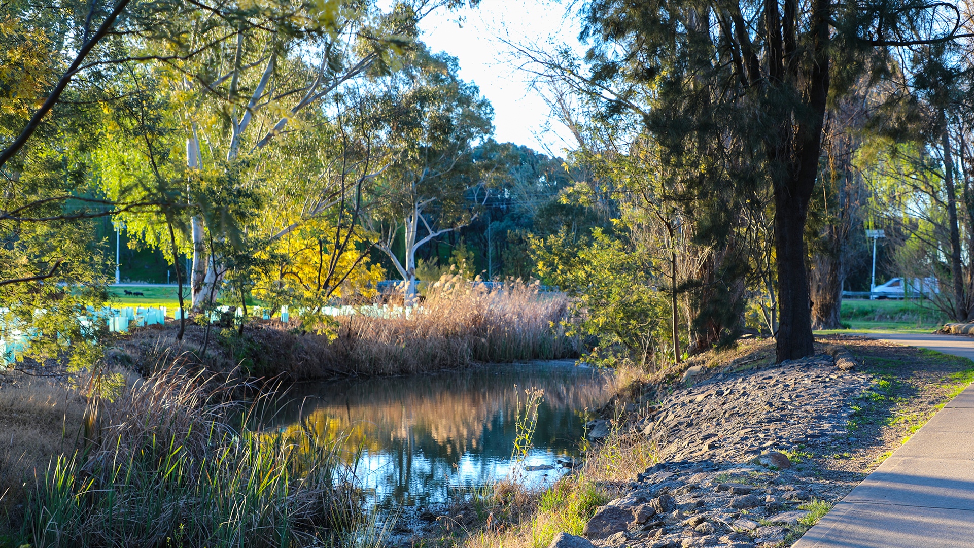 Community Grants Program review | Make Wodonga Yours